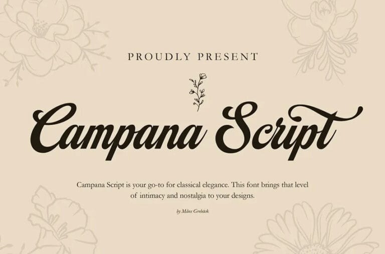Campana Script Font - DaFontHub