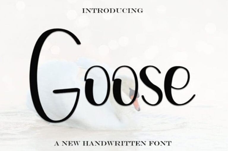 Goose Font - DaFontHub