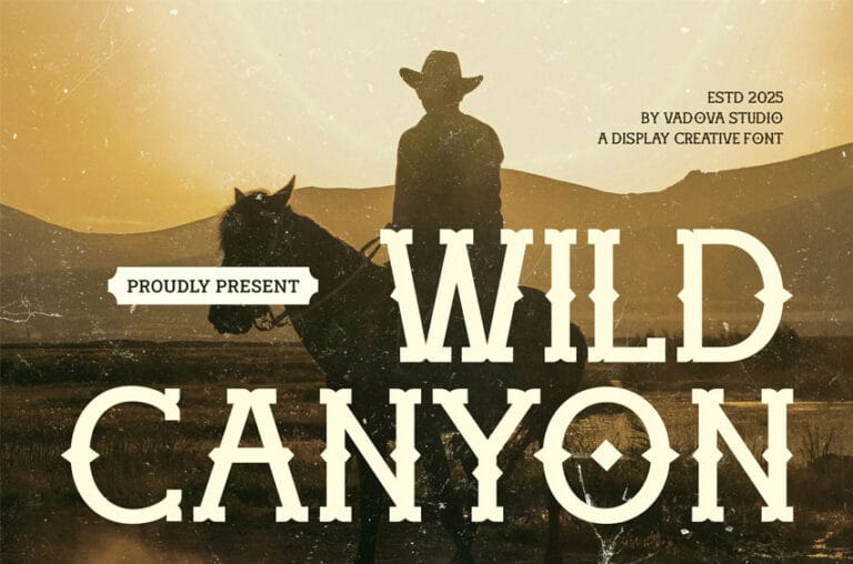 Wild Canyon Font - DaFontHub