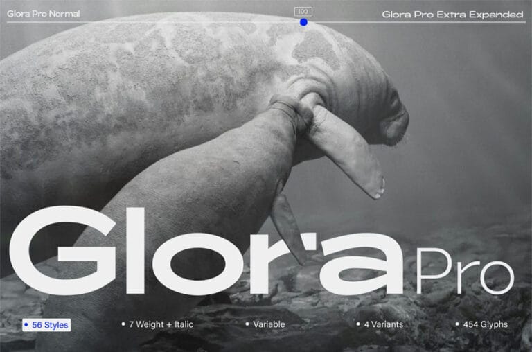 Glora Pro Font - DaFontHub