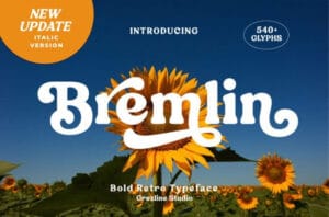 Bremlin Italic Font - DaFontHub
